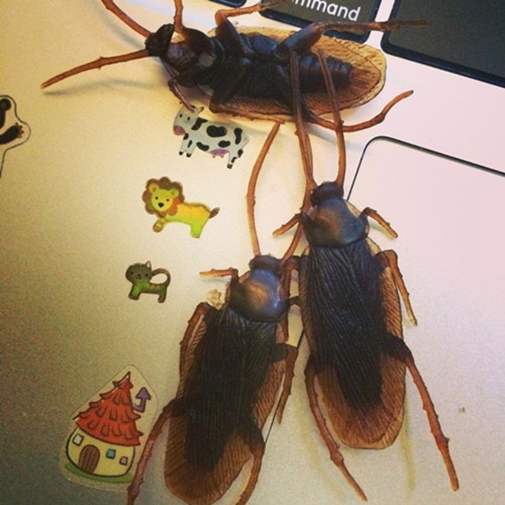 20 pcs Lifelike Plastic Roach Blackbeetle Cockroach Joke Prank Toy Gag ...