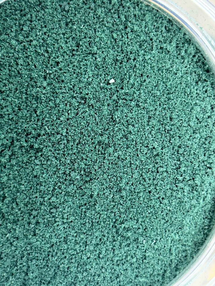 FOREST GREEN -FINE - FLOCK & TURF FOLIAGE 64oz - BLEND- ALL Scale ...