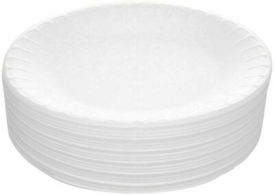 7" Foam Plates Disposable Polystyrene Plates Perfect for BBQ and ...