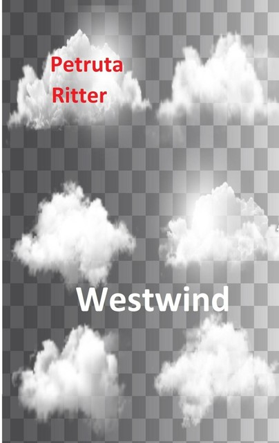 Westwind von Petruta Ritter (2015, Taschenbuch) online kaufen | eBay.de