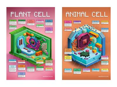 CellCraft Animal & Plant Cell Posters, Set of 2 - 24"x36" Each | eBay