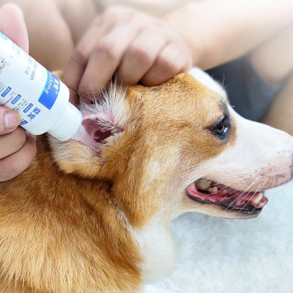 Pet Ear Drops Liquid Cleaning Solution Promote Ear Treatment Removes ...