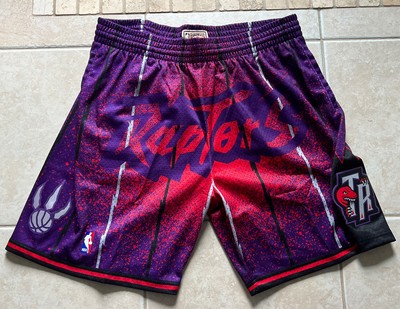 NWT Mitchell & Ness Toronto Raptors Spell Out Gradient Stripe Shorts ...