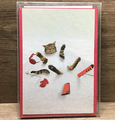 NobleWorks Christmas Holiday Season Funny Silly Cat 12ct Cards + 12 ...