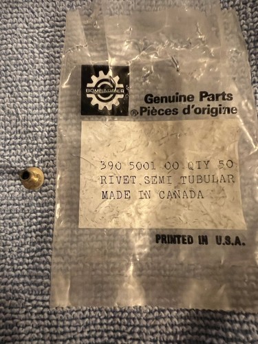 Vintage Ski doo brake pad rivet 390500100 | eBay
