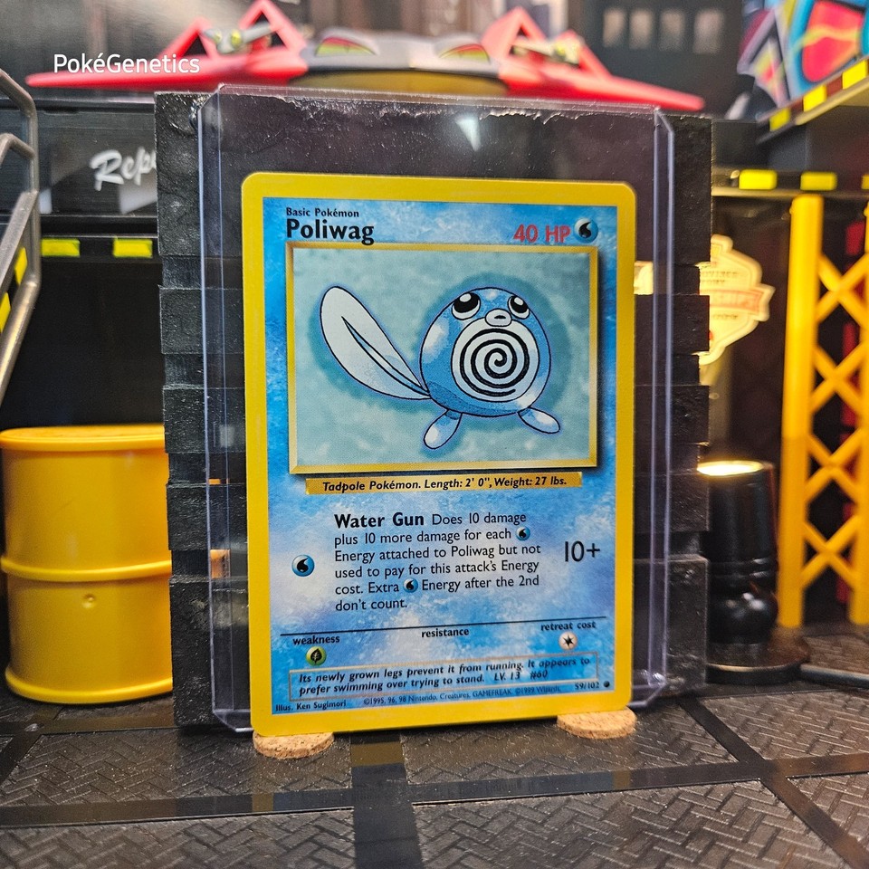Poliwag Base Set Pokémon TCG 59/102 Unlimited Common | eBay UK