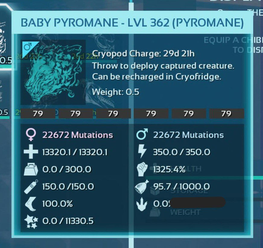 ARK ASCENDED PVE OFFICIAL PAIR BABY PYROMANE BLACK NEW TOP MELEE PC ...