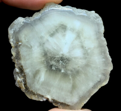 20g WOW! Polished RARE Natural Trapiche Star Quartz CRYSTAL Specimen ...