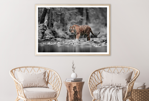 Walking Tiger & River Forest View Print Premium Poster High Quality ...