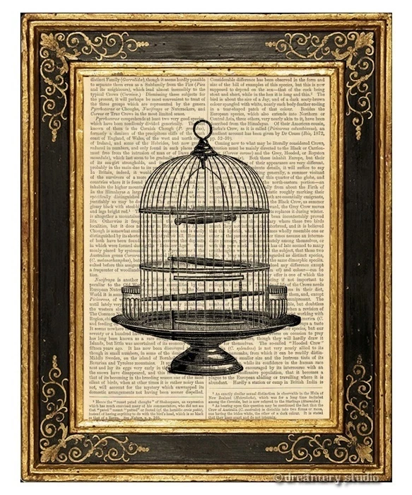 Vintage Bird Cage Art