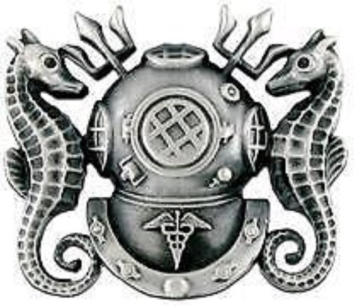NAVY DIVER MEDICAL ENLISTED SILVER OX SCUBA CADUCEUS REGULATION BADGE ...