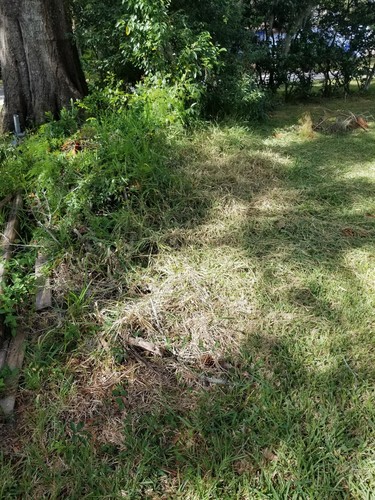 Snapper 60v String Trimmer 2ah Battery and Charger Included ST60V for ...