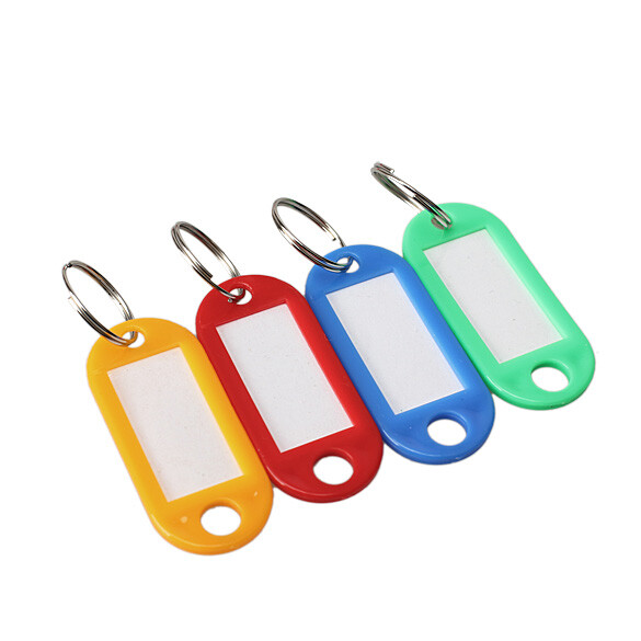 100 Pcs Key Tags Bulk Plastic Keychains with Label Window for Name ...