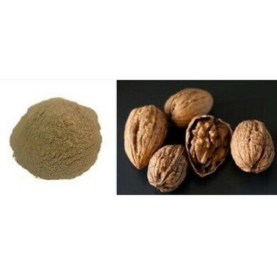 DANDASA SAAK POWDER TEETH CLEANER STEM-BARK akhrot ki chaal - FREE ...