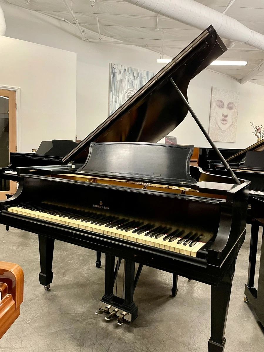 Most Beautiful Grand Pianos
