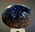 275ct Petrified Wood Palm Tree Pebble Natural Palmoxylon Crystal Cab ...