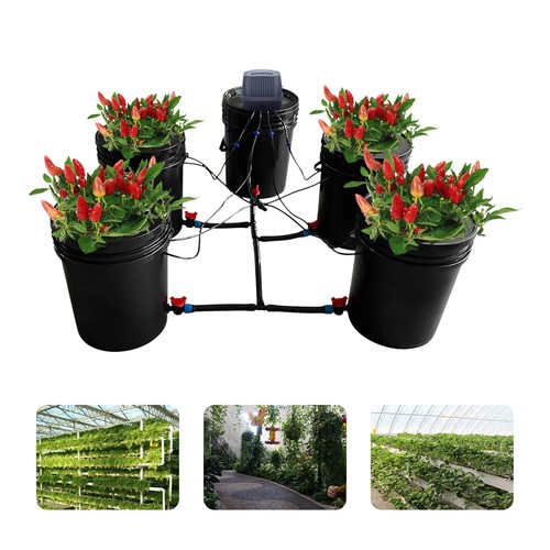 5 Buckets Gallon Hydroponics Grow System Kit Recirculating Deep Water ...