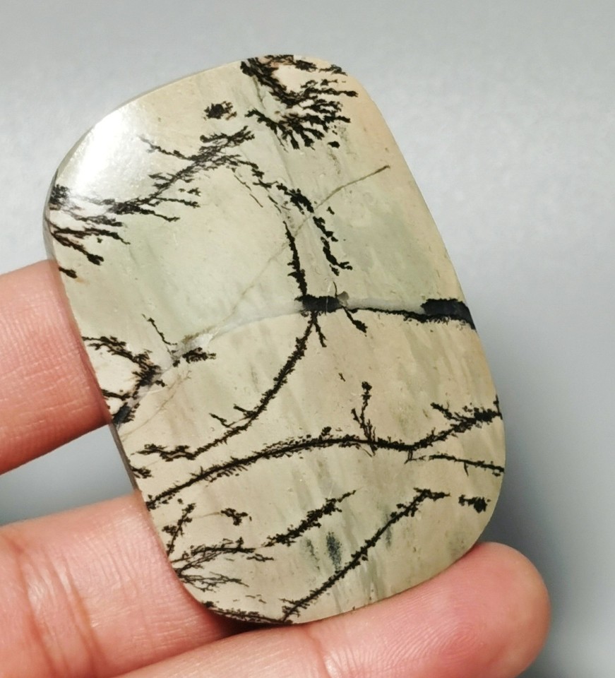 Rare Dendritic Chinese Painting Jasper Palm Reiki Stone Healing | eBay
