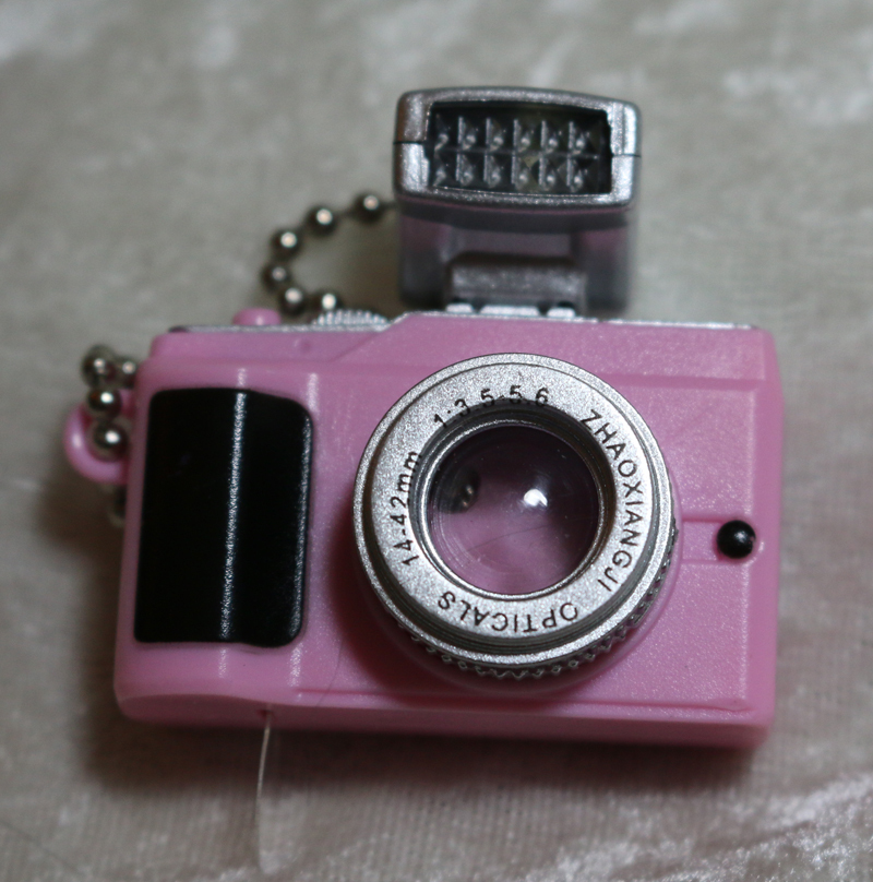 Pink Dslr Camera