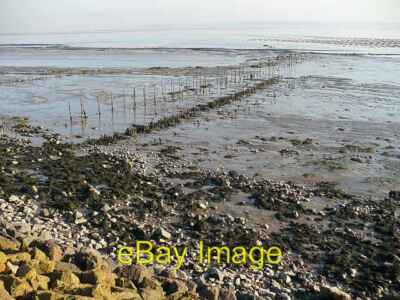 Photo 6x4 Remains of putcher ranks Severn Estuary Gold Cliff A putcher ...