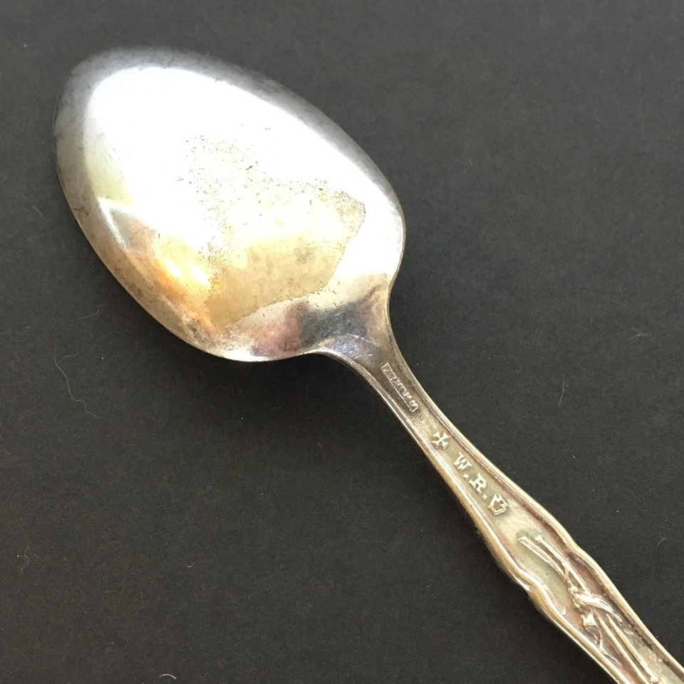 Carnation Silverplate Spoon W R Keystone Oneida Serving 1908 Antique | eBay