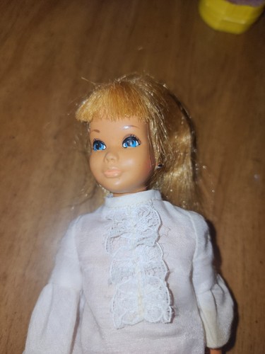 Barbie TNT Skipper Titian With Carry Case 4 Other Skippers Fun Time ...