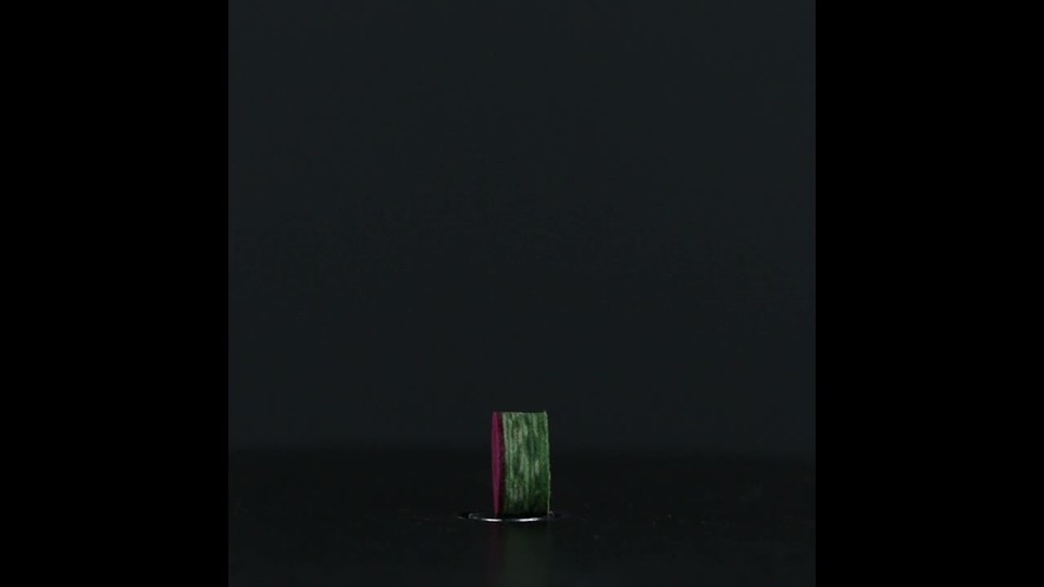 Tiger Emerald QTTEM1 Cue Tip Single | eBay