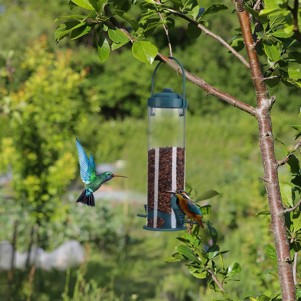 Birds Feeding Tool Floral Hummingbird Feeder Feeders outside Hanging ...