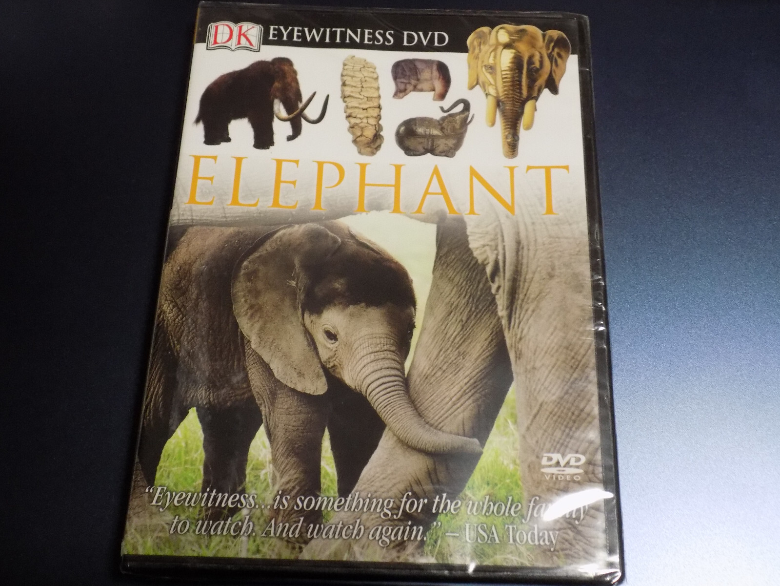 ELEPHANT DK EYEWITNESS Elephants Africa India African Wildlife Animal ...