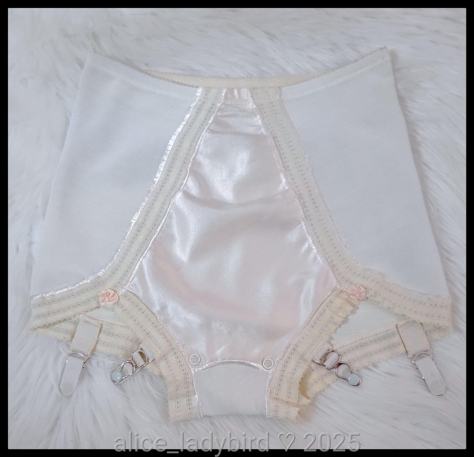 Vintage SATIN Shiny GARTER Brief PANTIES Sanitary NYLON Stretch Pin-Up ...