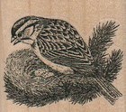 Chipping Sparrow With Nest 2 x 1 3/4" Rubber Stamp, Bird Stamp, Sparrow ...