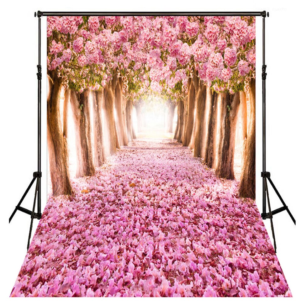Buy 2 Get 1 Free, Vinyl Photo Backdrop Photography Background Video ...