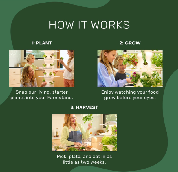 Lettuce Grow Farmstand Nook | 20 Plant Hydroponic System | eBay