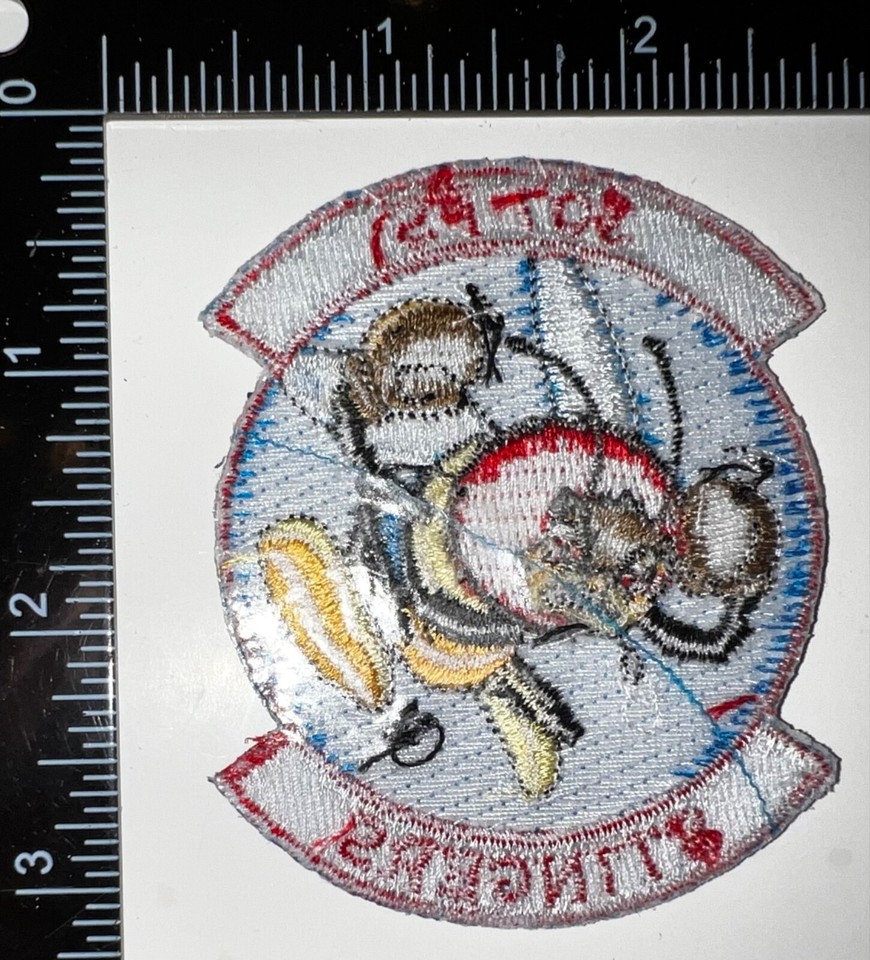 USAF 307th Fighter Squadron Stingers Patch | eBay