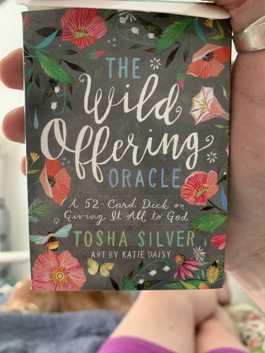 The Wild Offering Oracle: A 52-Card Deck on Giving It All to God (Cards ...