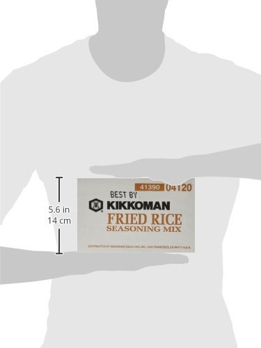 FRIED RICE SEASONING MIX Powdered for Asian Fried Rice No MSG 24 Pcs ...