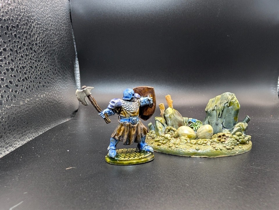 Well painted Reaper warrior/knight dnd fantasy miniature Dreadmere | eBay