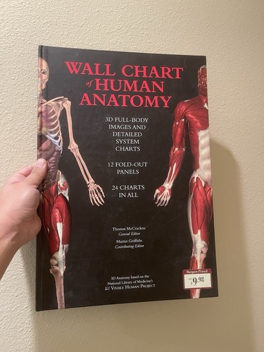 Wall Chart of Human Anatomy 3D Full Body Images 24 Charts 12 Fold Out ...