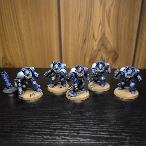 Well Painted Warhammer 40k Indomitus Ultramarines Terminator Squad | eBay