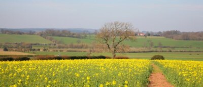 Photo 6x4 Field and Path High Offley c2007 | eBay UK