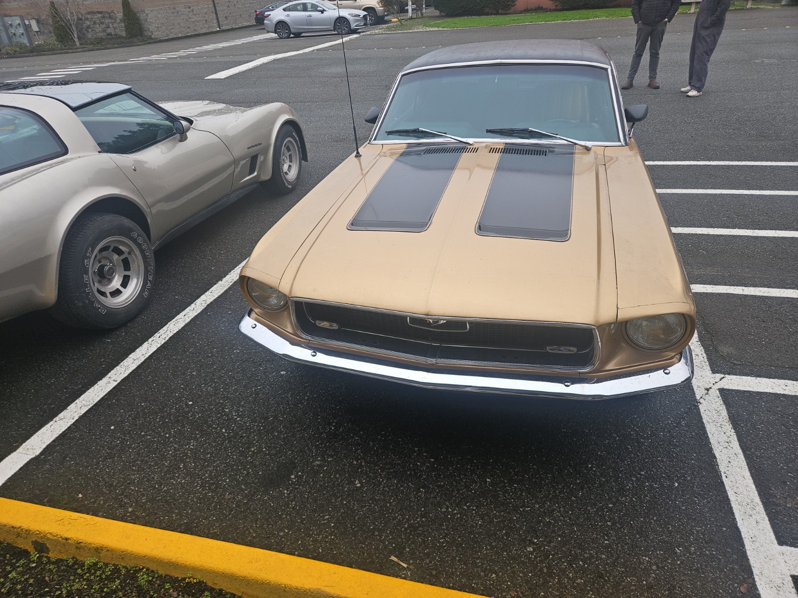 1968 Ford Mustang | Timeless Rides