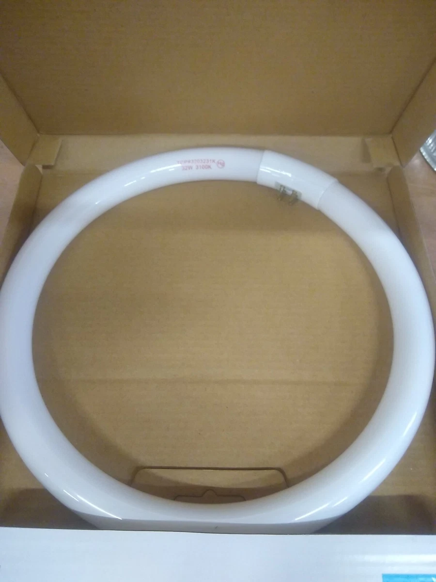 T6 Circular Light Bulb | Shelly Lighting