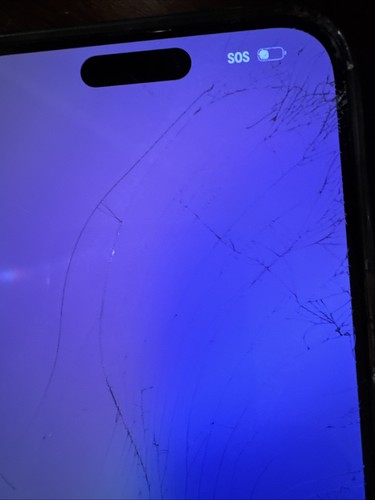 Apple iPhone 15 Pro Max - 256GB - Cracked Front & Back Screen | eBay