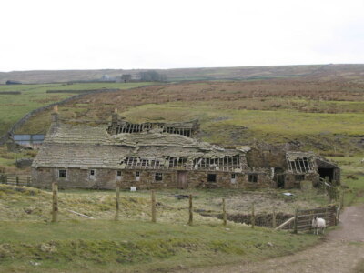 Photo 6x4 Wolf Cleugh (7) Lintzgarth See [[1230639]]. c2009 | eBay UK