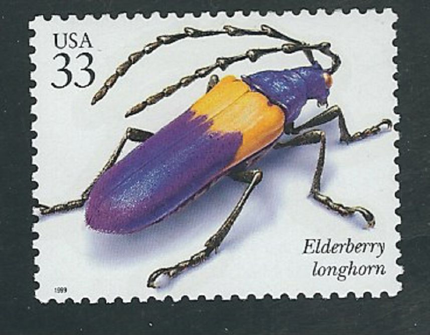 Scott #3351-b...33 Cent.. .Insects & Spiders...Eldeberry Longhorn...2 ...