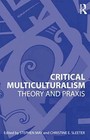 Critical Multiculturalism - Paperback, by May Stephen - Good ...