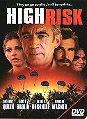 High Risk (DVD, 2001) for sale online | eBay