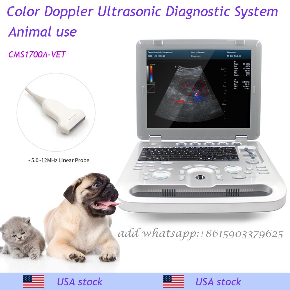 VET Veterinary Portable Ultrasound Scanner Laptop Machine Color Doppler ...