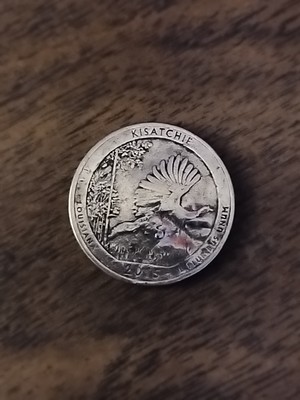 2015 Error Quarter | eBay