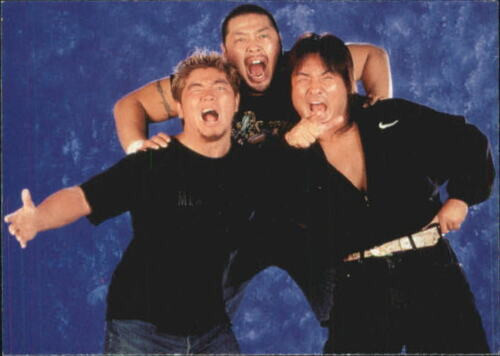 1998 DuoCards Comic Images WWF Superstarz #53 Kaientai - Dick Togo ...